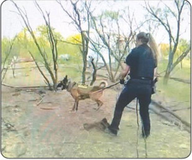 K9 Bond serves arrest warrant | Olney Enterprise